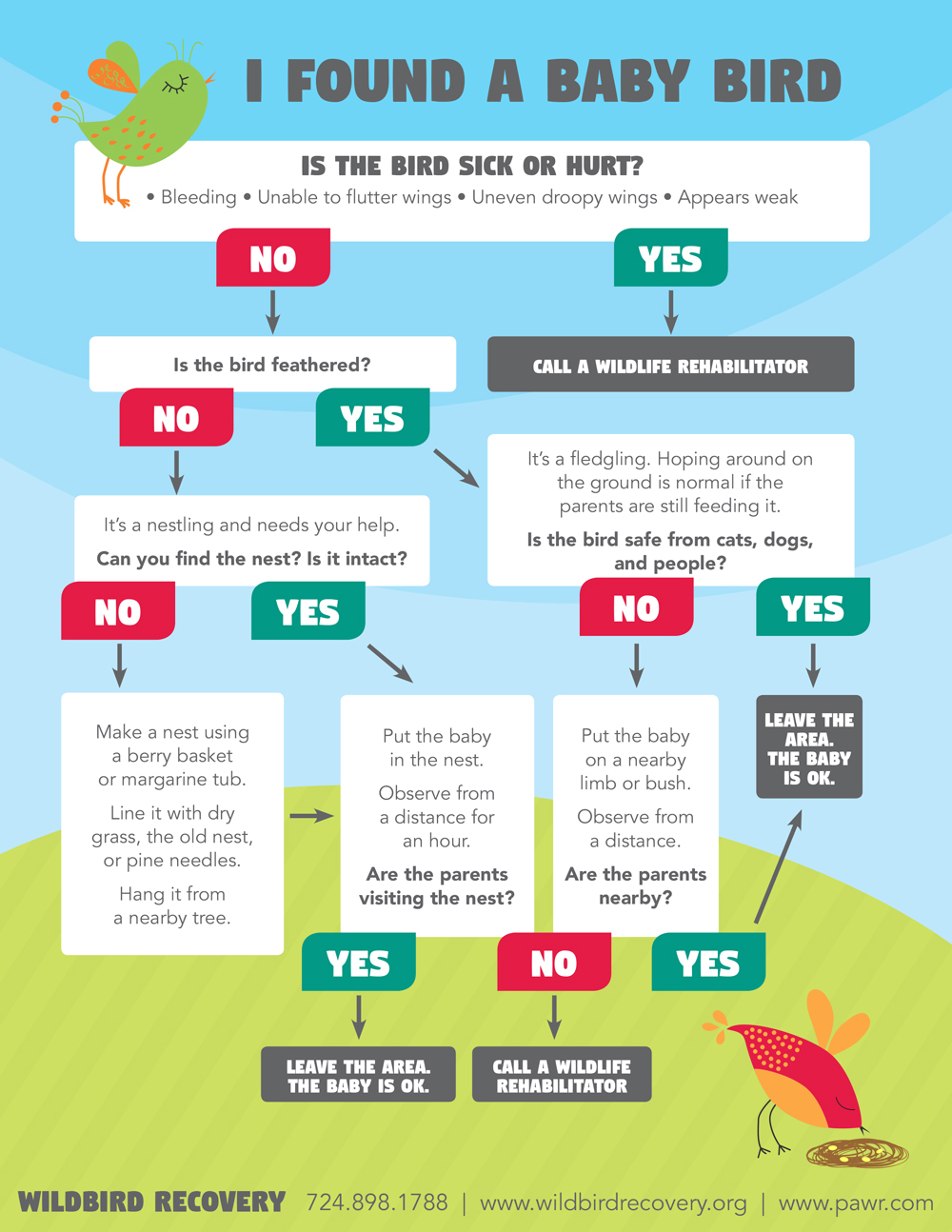 HELP! I found a Baby Bird