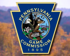 Fall Migration Festival