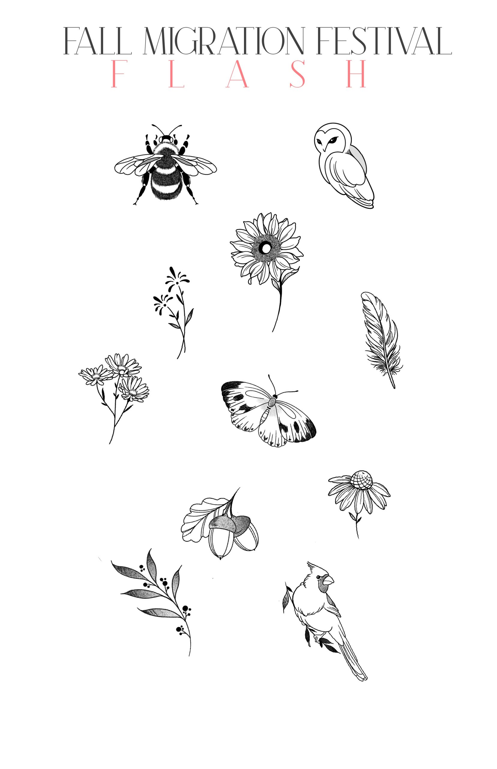 Fall Migration Festival
